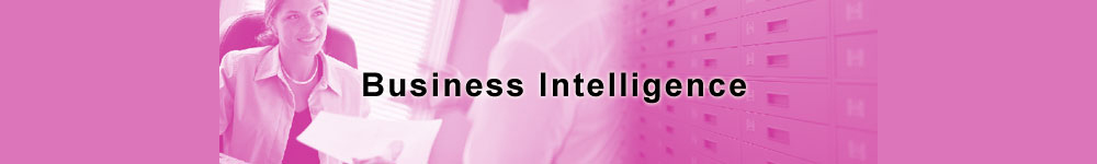 Business Intelligence | SYSCOM INC.